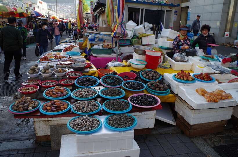 From Seoul: 5-Day Tour of Korea with UNESCO Sites - Day 3: From Jinjuseong Fortress to Busan and Gyeongju