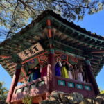 From Seoul: Buyeo Day Trip with Baekje Kingdom History - Analyzing the Value: What Makes This Tour Stand Out