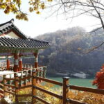 From Seoul: Cheorwon DMZ & 2nd Tunnel One Day Tour - Is This Tour Worth It?