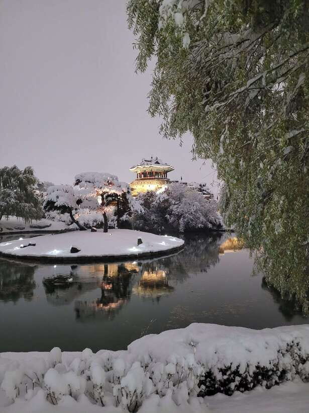 From Seoul: Evening Tour to UNESCO Suwon Hwaseong Fortress - Views of Suwon and the Fortress