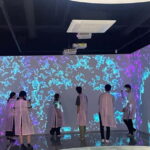 From Seoul: Guided Day Trip to Pocheon - The Practicalities: How It Comes Together