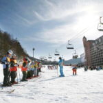 From Seoul: Korea Ski Tour - Jisan Forest Resort - What You Can Expect from the Tour