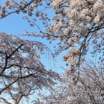 From Seoul: Private Day Tour to Gangneung - Additional Details and Practical Insights