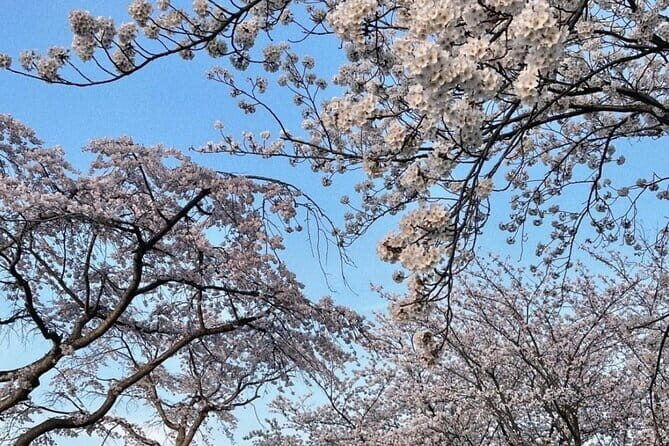 From Seoul: Private Day Tour to Gangneung - Additional Details and Practical Insights