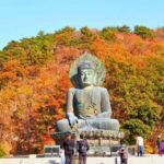 From Seoul: Seoraksan Mountain with Cable Car- Shuttle Bus - An In-Depth Look at the Seoraksan Tour