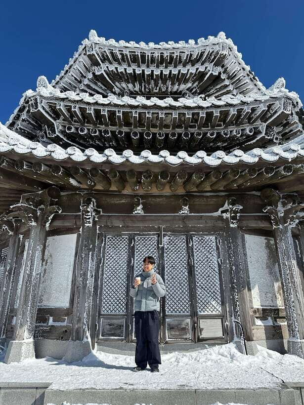 From Seoul: Snow-Capped Beauty of Deogyusan National Park - What’s Included and What’s Not