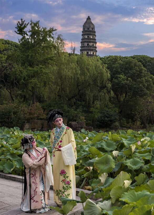 From Shanghai: 8-Day Private Tour to Hangzhou, Wuzhen, and - Authenticity and Quality: What Travelers Say