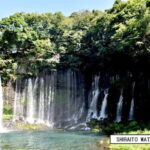 From Shinfuji: Fuji Nature Tour with Guide and Vehicle - Hidden Gems and Waterfalls: Jimba and More