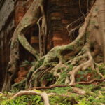 From Siem Reap: Beng Mealea and Koh Ker Temple Day Trip - Why This Tour Gets It Right