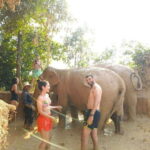 From Siem Reap: Elephant Sanctuary Experience with Transfers - The Overall Experience: Value and Authenticity