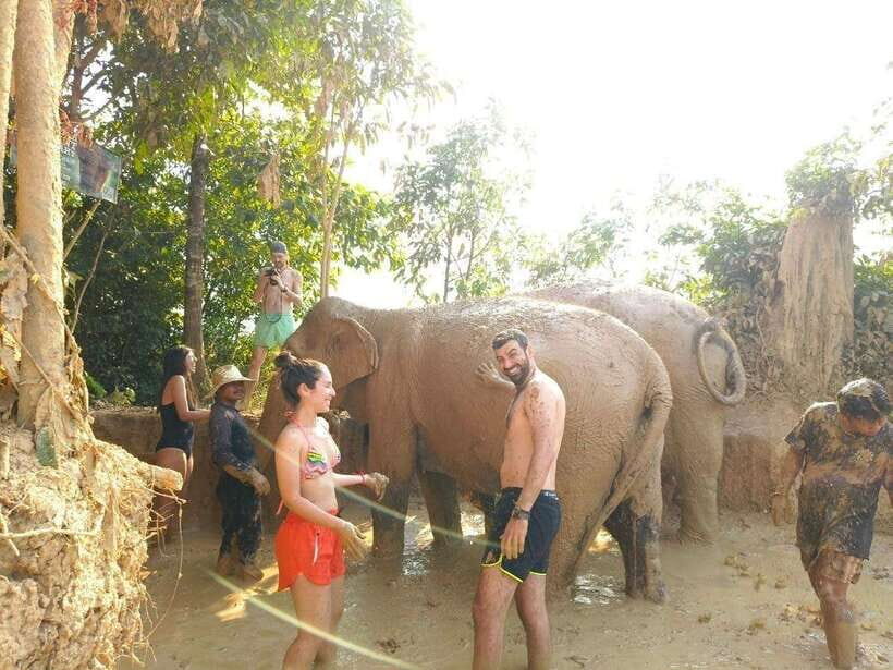 From Siem Reap: Elephant Sanctuary Experience with Transfers - The Overall Experience: Value and Authenticity
