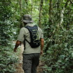 From Siem Reap: Phnom Kulen National Park Trekking Tour - What to Expect from Your Day at Phnom Kulen