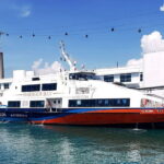 From Singapore: Express shore excursion to Indonesia (6 hours) - Who Should Book This Tour?