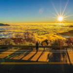 From Taipei City: 3-Day Sun Moon Lake & Alishan Private Tour - Practical Details and What Travelers Can Expect