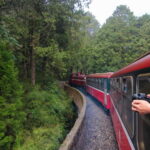 From Taipei: Classic and Scenic Taiwan Private 5-Day Tour - What Makes This Tour Stand Out?