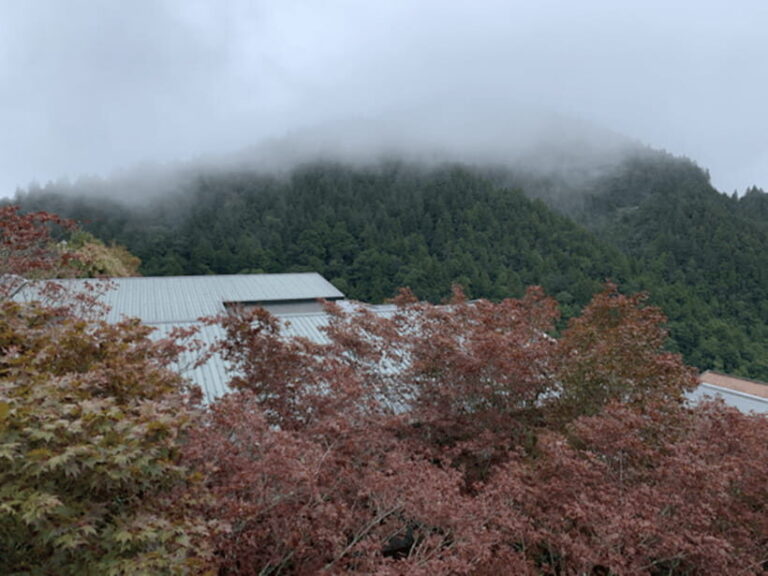 From Taipei: Taipingshan & Jiuzhize Hot Spring Private Tour - Detailed Itinerary Breakdown