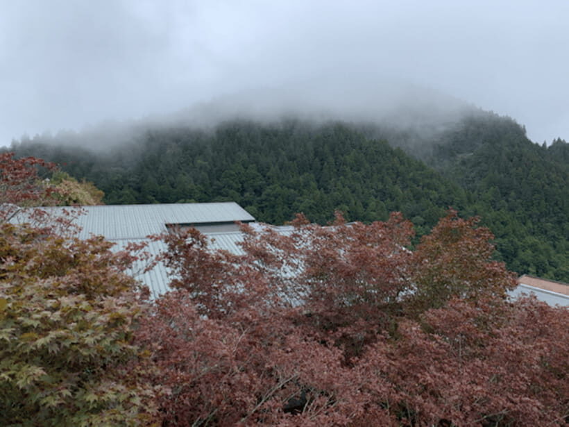 From Taipei: Taipingshan & Jiuzhize Hot Spring Private Tour - Detailed Itinerary Breakdown