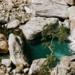 From Taipei: Taroko Gorge Private Tour - What the Reviews Reveal: Authentic Traveler Insights