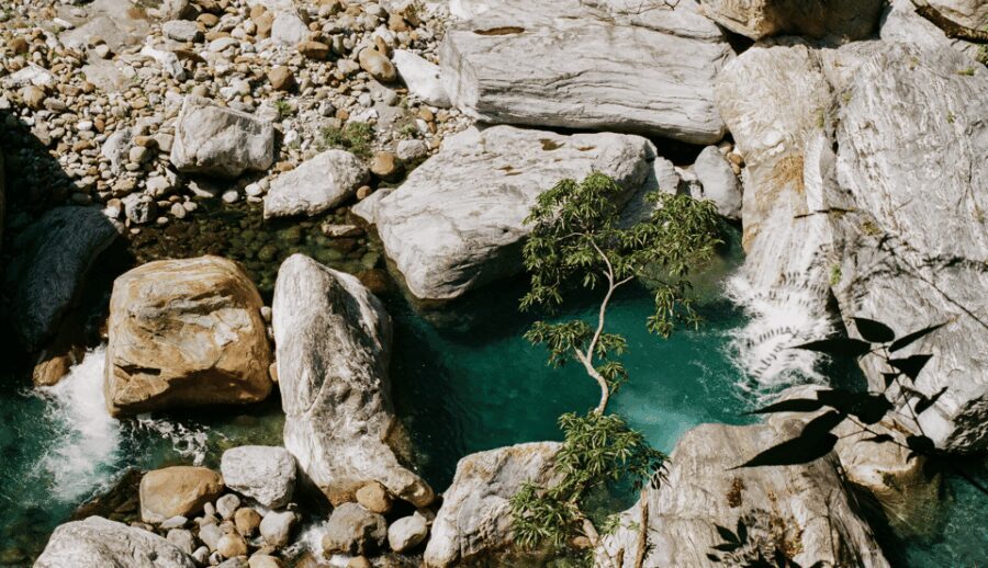 From Taipei: Taroko Gorge Private Tour - What the Reviews Reveal: Authentic Traveler Insights