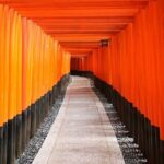 From Tokyo 1-Day Kyoto English-guided Tour by Bullet Train - A Deep Dive into the Itinerary