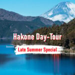 From Tokyo: 10-hour Hakone Private Custom Tour - The Value of Flexibility and Comfort