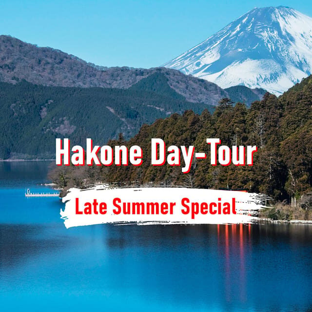 From Tokyo: 10-hour Hakone Private Custom Tour - The Value of Flexibility and Comfort