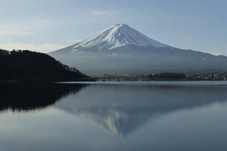 From Tokyo Custom Mt.Fuji tour with the Private van - Who Should Consider This Tour?