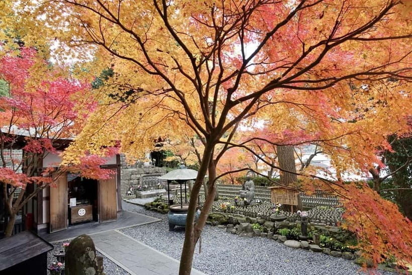 From Tokyo: Kamakura and Enoshima 1-Day Bus Tour - Transportation and Schedule: What Travelers Should Know