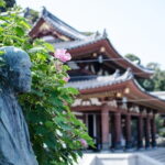 From Tokyo Kamakura and Enoshima Private Day Tour - Engaku-ji Temple: Zen Serenity and History