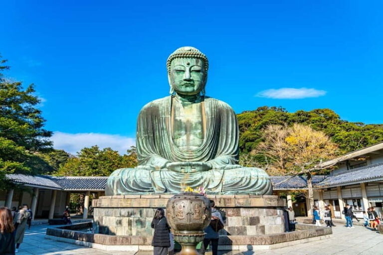 From Tokyo: Kamakura, Great Buddha, and Enoshima Bus Tour - Transportation and Value