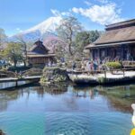 From Tokyo: Mount Fuji and Hakone Private Day Trip - Why This Tour Offers Impressive Value