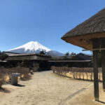 From Tokyo: Mount Fuji And Hakone Private Full Day Trip - The Itinerary Breakdown: What You’ll See and Do