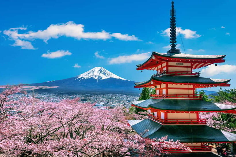 From Tokyo: Mount Fuji Full Day Private Customizable Tour - Final Thoughts