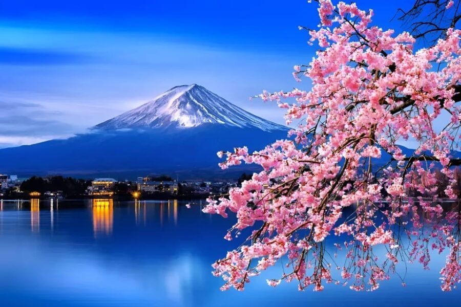From Tokyo: Mount Fuji & Hakone Full Day Private Tour - Starting at Mount Fuji’s 5th Station
