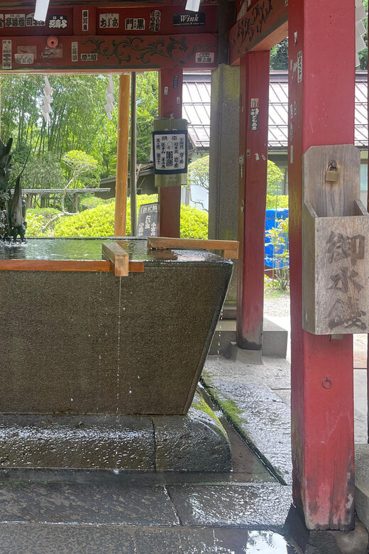 From Tokyo: Mount Fuji & hakone Private Full Day Trip - The Itinerary in Detail