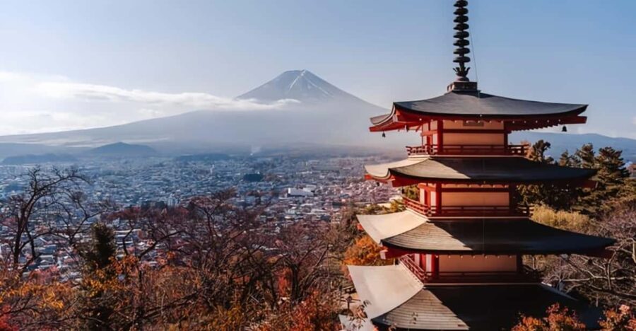 From Tokyo : Mount Fuji Private Day Tour with English Driver - The Real Experience: What Makes This Tour a Value