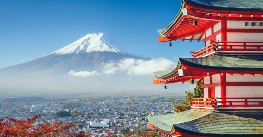 From Tokyo: Mount Fuji Private Day Tour - Who Would Love This Tour?