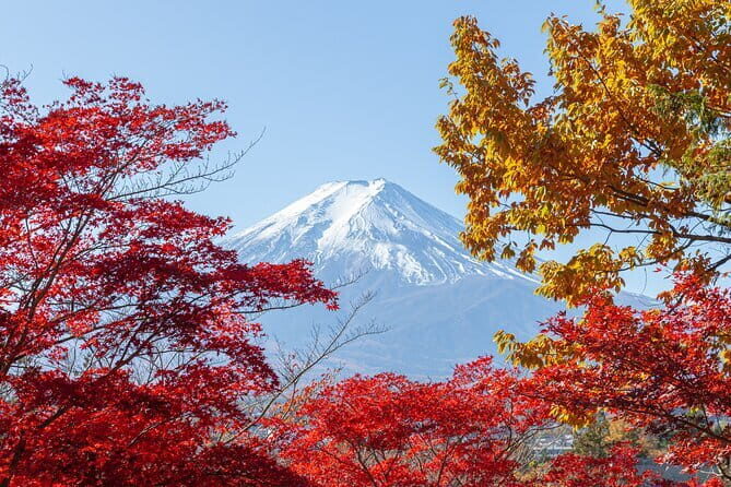 From Tokyo: Mount Fuji Sightseeing One Day Trip - The Experience: What Travelers Say About the Tour