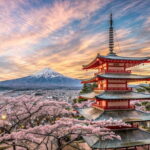 From Tokyo: Mt Fuji and Hakone Private Day Trip - What the Reviews Say — Authentic Perspectives