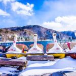 From Tokyo: Mt Fuji Full Day Private Tour - What the Tour Means for You