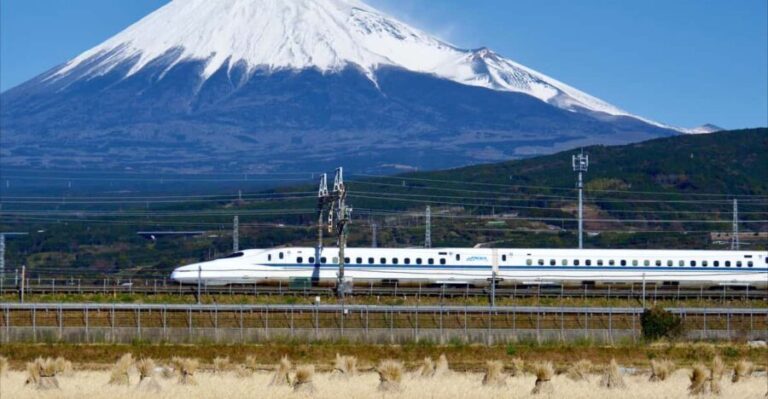 From Tokyo: Mt. Fuji & Hakone Tour w/ Return by Bullet Train - Authenticity and Experience — What Travelers Say