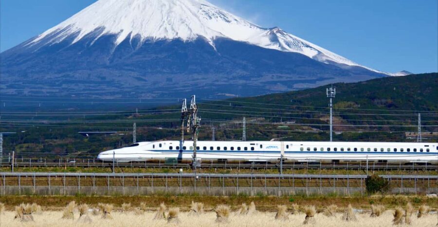 From Tokyo: Mt. Fuji & Hakone Tour w/ Return by Bullet Train - Authenticity and Experience — What Travelers Say