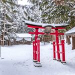 From Tokyo: Nagano, Monkeys, Zenkoji Temple Private Day Trip - Why This Tour Is a Good Fit