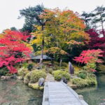 From Tokyo: Nikko Customize private Tour With English Driver - Practical Details and What to Bring