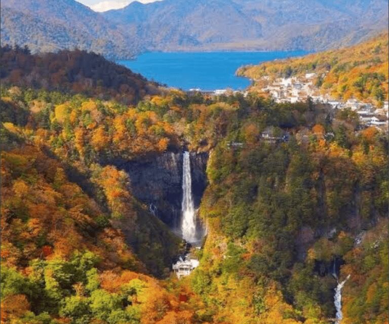 From Tokyo, Nikko Lake Chuzenji Kegan Falls Private Day Trip - The Itinerary: A Detailed Breakdown