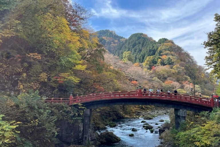 From Tokyo: Nikko private car tour with optional guide - Who Should Consider This Tour?