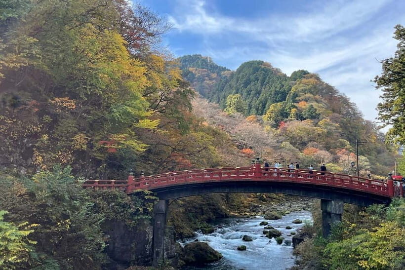 From Tokyo: Nikko private car tour with optional guide - Who Should Consider This Tour?