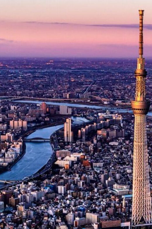 From Tokyo: Nikko Private Customize Tour With English Driver - Who Will Love This Tour?