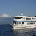 From Tokyo: Numazu Port and Gotemba Outlets Day Tour - The Return Journey and Optional Dinner