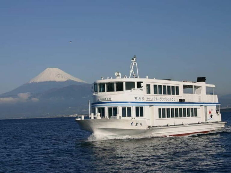 From Tokyo: Numazu Port and Gotemba Outlets Day Tour - The Return Journey and Optional Dinner
